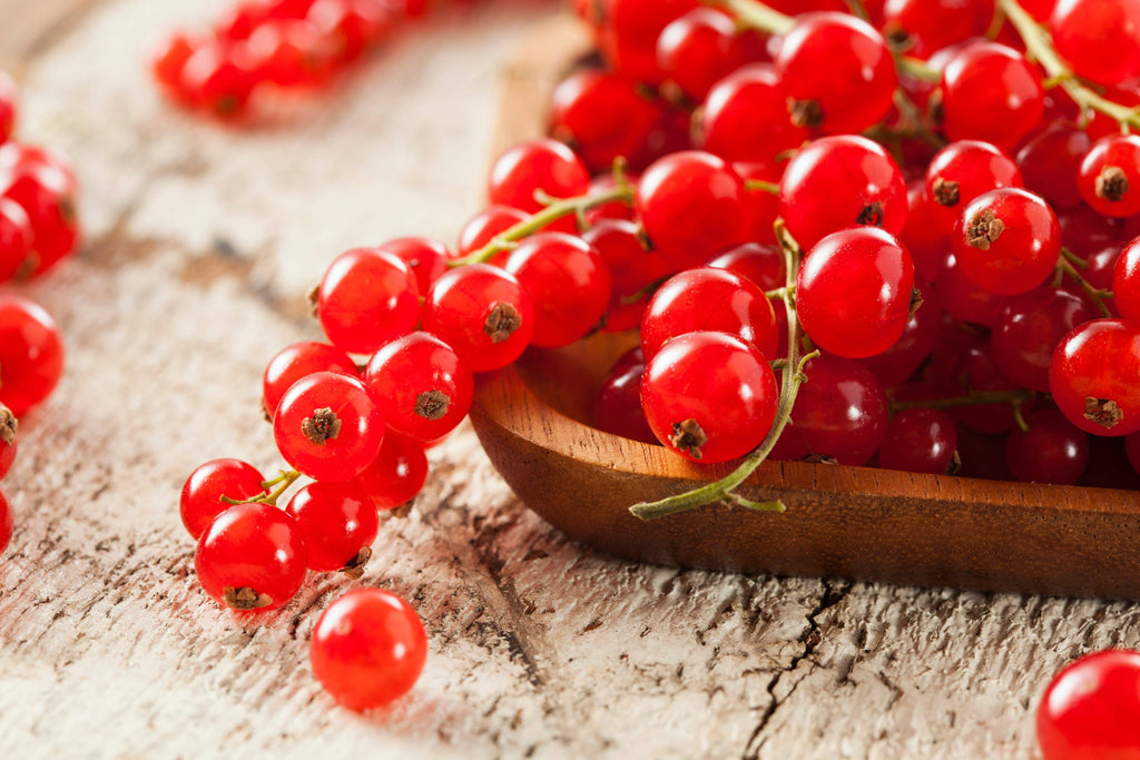 Discover the Fruity Diversity of Currants